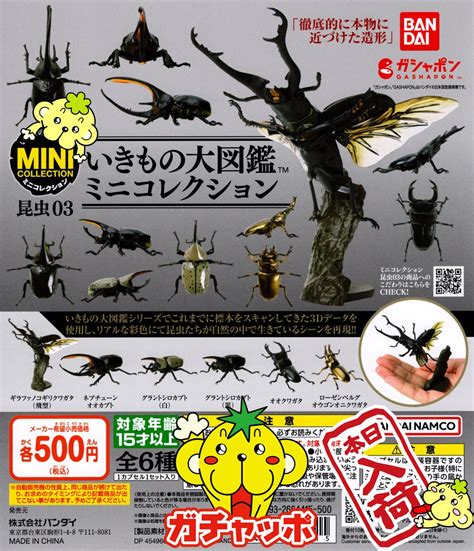 いきもの大図鑑ミニコレクション 昆虫03 本日入荷！ ガチャガチャ専門店 ガチャッポ 【公式】