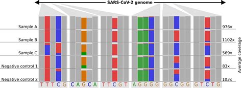 Frontiers Porecov An Easy To Use Fast And Robust Workflow For Sars Cov 2 Genome