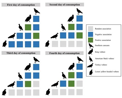 Spatio Temporal Co Occurrence For The Different Days Of Consumption At