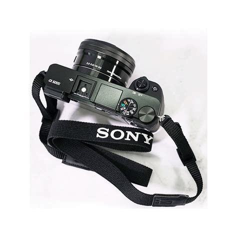 Sony Rx Biggo