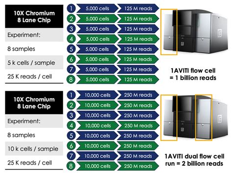 Single Cell Sequencing And The AVITI System A Perfect Pairing