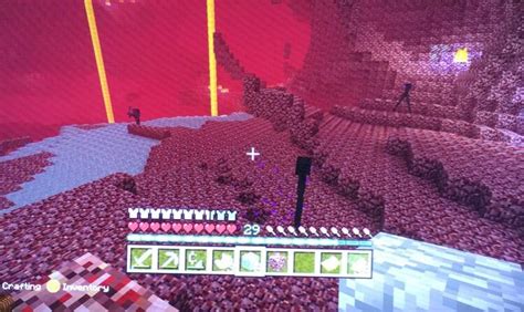 Endermen In The Nether Minecraft Amino