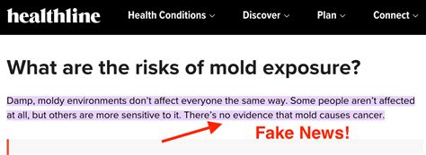Can Mold Cause Cancer 5 Shocking Science Based Facts