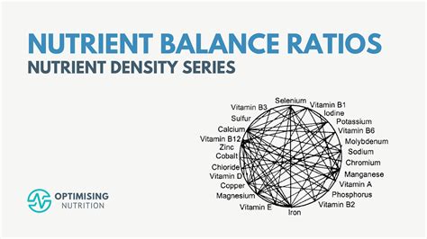 Nutrient Ratios For Optimal Mineral Balance Optimising Nutrition