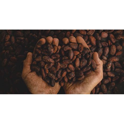 Cocoa Natural Aphrodisiac But Also Many Other Properties