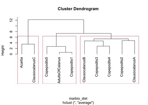 A 4 Bases Du Langage R Science Des Données Biologiques Iii