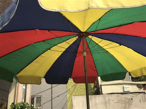 두고 온 여름 움직임 없는 어둡고 굼뜬 독서