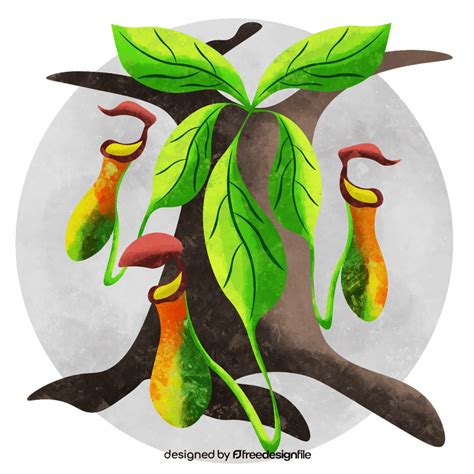 Pitcher Plant Vector Free Download