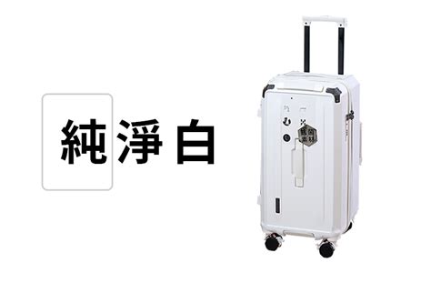 野蠻派