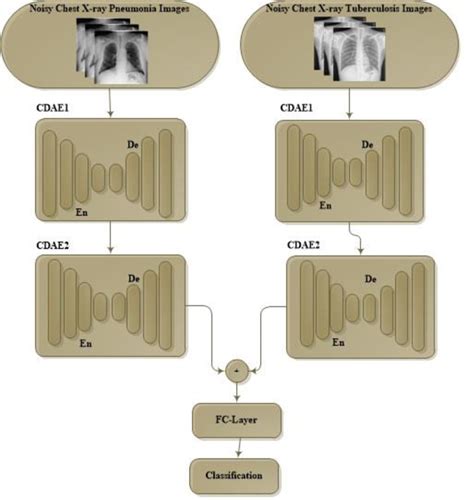 Figure 1 From Lung Disease Classification In Chest X Rays With Feature Fusion Via Stacked