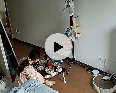 밥상 엎는 고양이 유머 움짤 이슈 에펨코리아