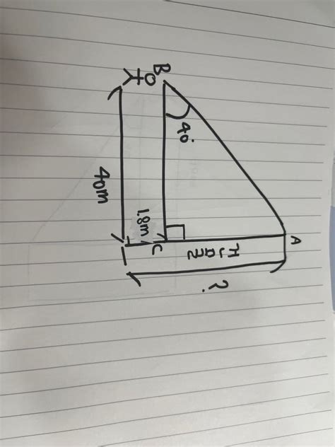 중2 닮음 활용 건물 높이 구하기 지식in