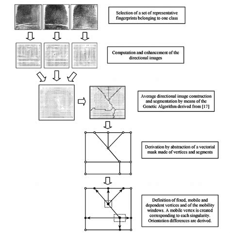 Prototype Mask Creation The Mask Area Is Larger Than The Directional Download Scientific