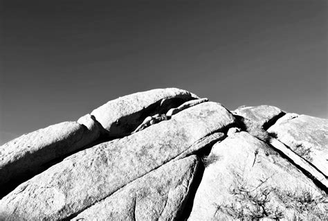 Harper Willat The Independent Photographer