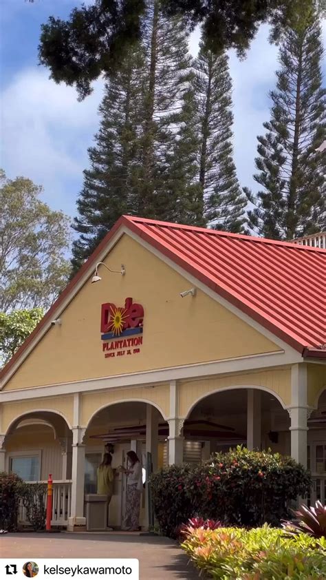 Warning Visiting Dole Plantation May Cause Extreme Pineapple Obsession