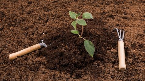 Free Photo Flat Lay Gardening Composition With Copyspace