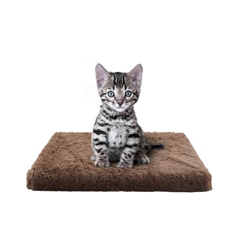 Small Gazebo Pethouse Square Kennel Cat Cushion Pet Kennel Deep Sleep