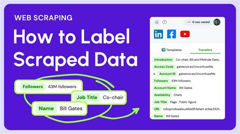 How To Label Info Placeholders On Magical Magical Transfers Tutorial
