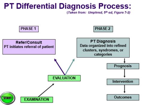 Differential Diagnosis Flowchart