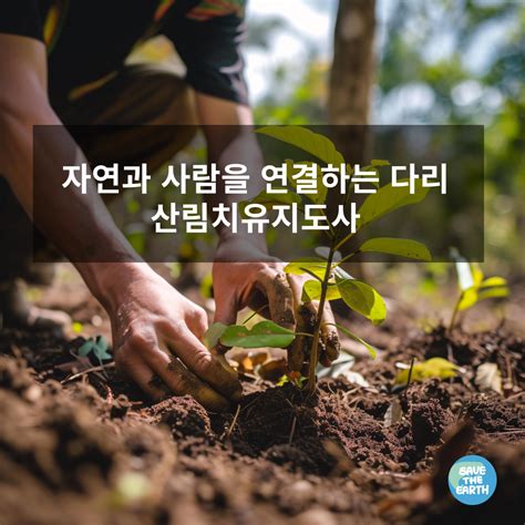 2025년 산림치유지도사 자격증 합격률과 시험 준비 방법 총정리