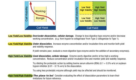 Matching A Specific Dissociation Enzyme To A Cell Tissue Catsclaw