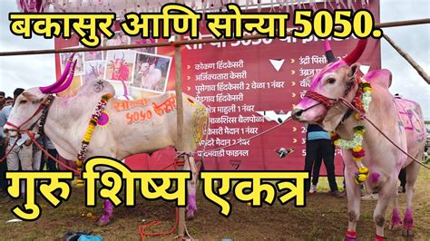 बकासुर आणि सोन्या 5050 लाईव्ह Youtube