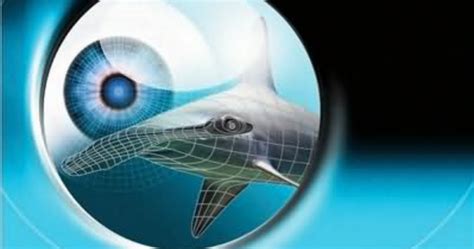 an introduction to 3d computer vision techniques and algorithms Đinh