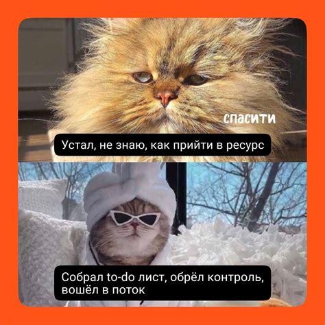 Спешим напомнить что лето — время свободы и это отличный повод