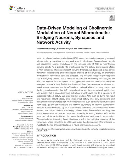pdf data driven modeling of cholinergic modulation of neural