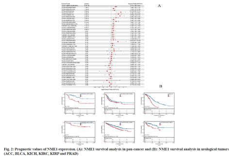 Pan Cancer Analysis Of Non Metastatic Cells 1 Its Biological Function