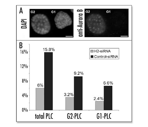 Analysis Of The Decondensation Behaviour Following Depletion Of