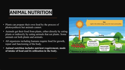 Ppt For Cbse Class 7 Science Unit 2 Science Pdf