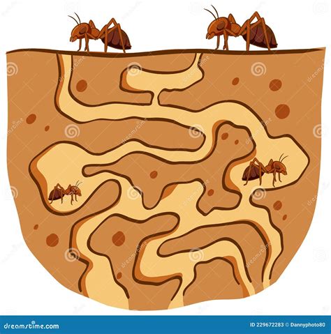 Ants Nest Tree Stock Illustrations 9 Ants Nest Tree Stock Illustrations Vectors And Clipart