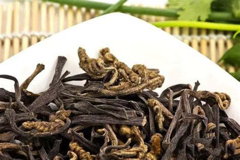 口感孤獨 味道荒涼的蕨菜 每日頭條