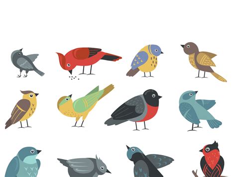 Bird By Abdul Momen On Dribbble