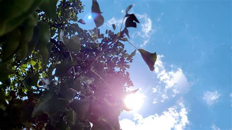 Code Red Heat Alert Issued In Baltimore City Extreme Temperatures