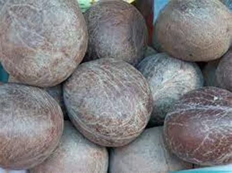 Cabinet Approves Minimum Support Prices For Copra For 2024 Season Law