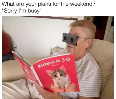 49 Introvert Memes To Read Instead Of Going To The Party
