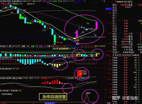 倒车接人？妖股追涨停 回调又一次拉升（副图可选股）通达信指标 知乎