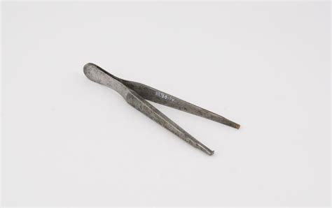 Dissection Forceps Steel 1750 1850 Science Museum Group Collection
