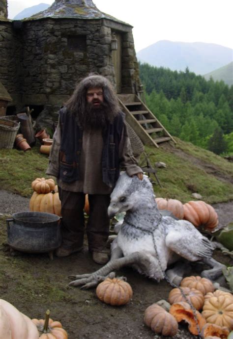 Hagrid Harry Potter And The Prisoner Of Azkaban 2004 Harry Potter