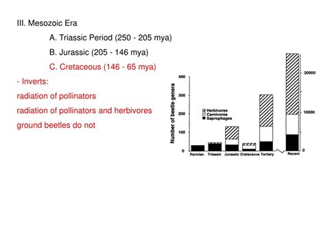 Ppt Iii Mesozoic Era A Triassic Period 250 205 Mya Powerpoint