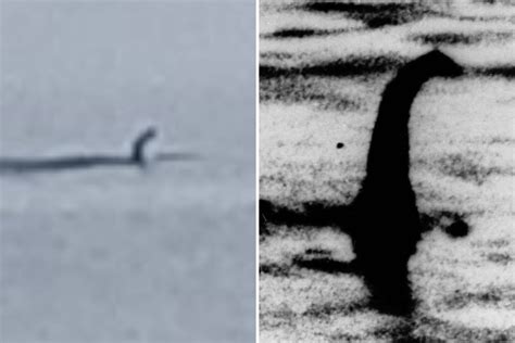 Loch Ness Monster Baffled Fife Man Reckons Nessie Couldve Escaped