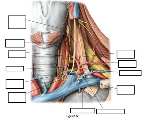 Lab 1 Diagram Figure 5 Diagram Quizlet