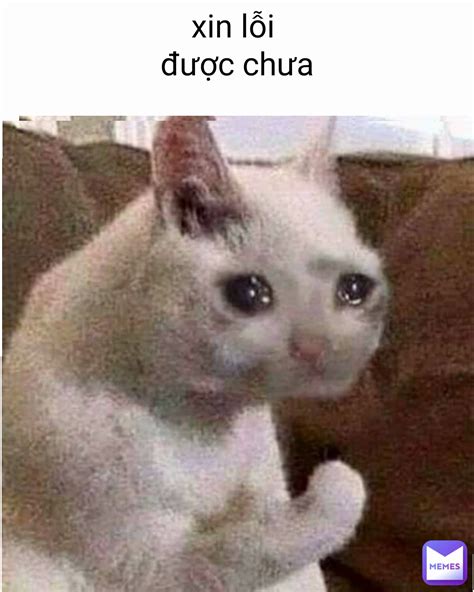 Xin Lỗi được Chưa Meme Sống động Cùng Cảm Xúc 2024