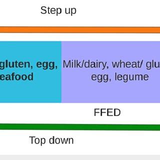 Step Up And Top Down Approach Author S Own Creation Sfed Six Food
