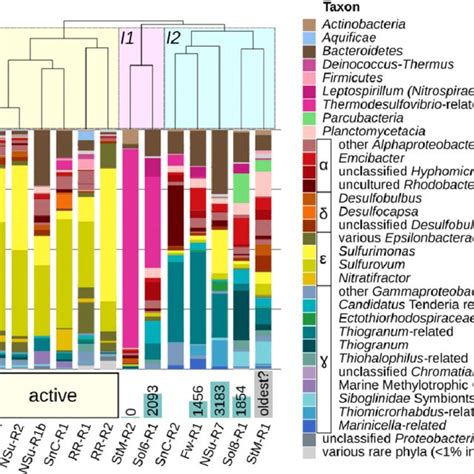 Microbial Diversity Based On Relative Abundances Of 16s Rrna Gene