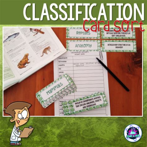 Classification Vocabulary Card Sort Teaching Resources