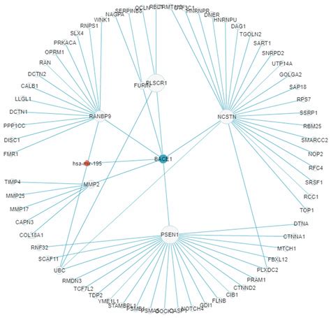 mirdrn—mirna disease regulatory network a tool for exploring disease