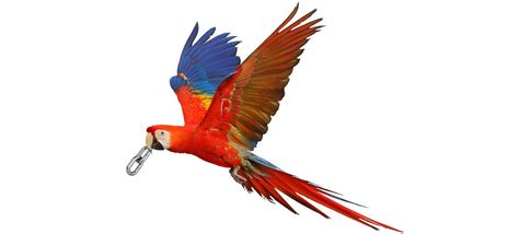 Spring Ai Origins A Look At Langchain By Craig Walls The Pragmatic